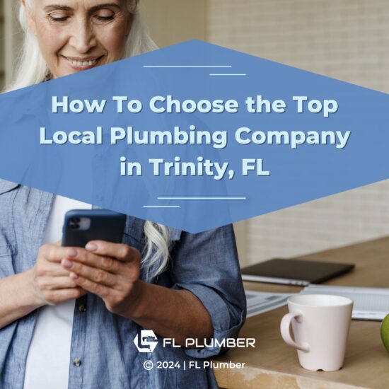 The FL Plumber, LLC, Blog | Plumbing In Trinity, Florida