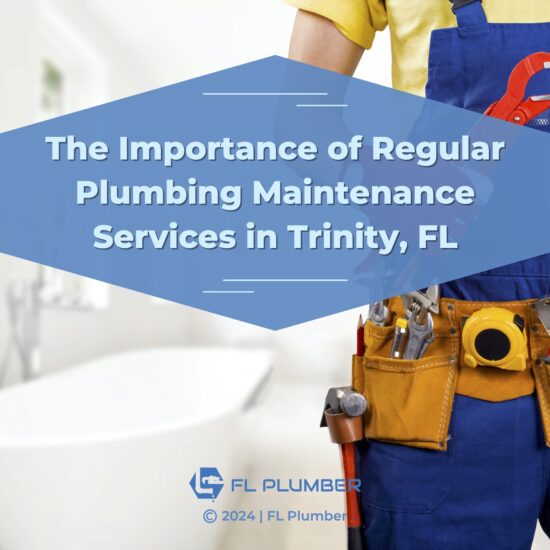 The FL Plumber, LLC, Blog | Plumbing In Trinity, Florida